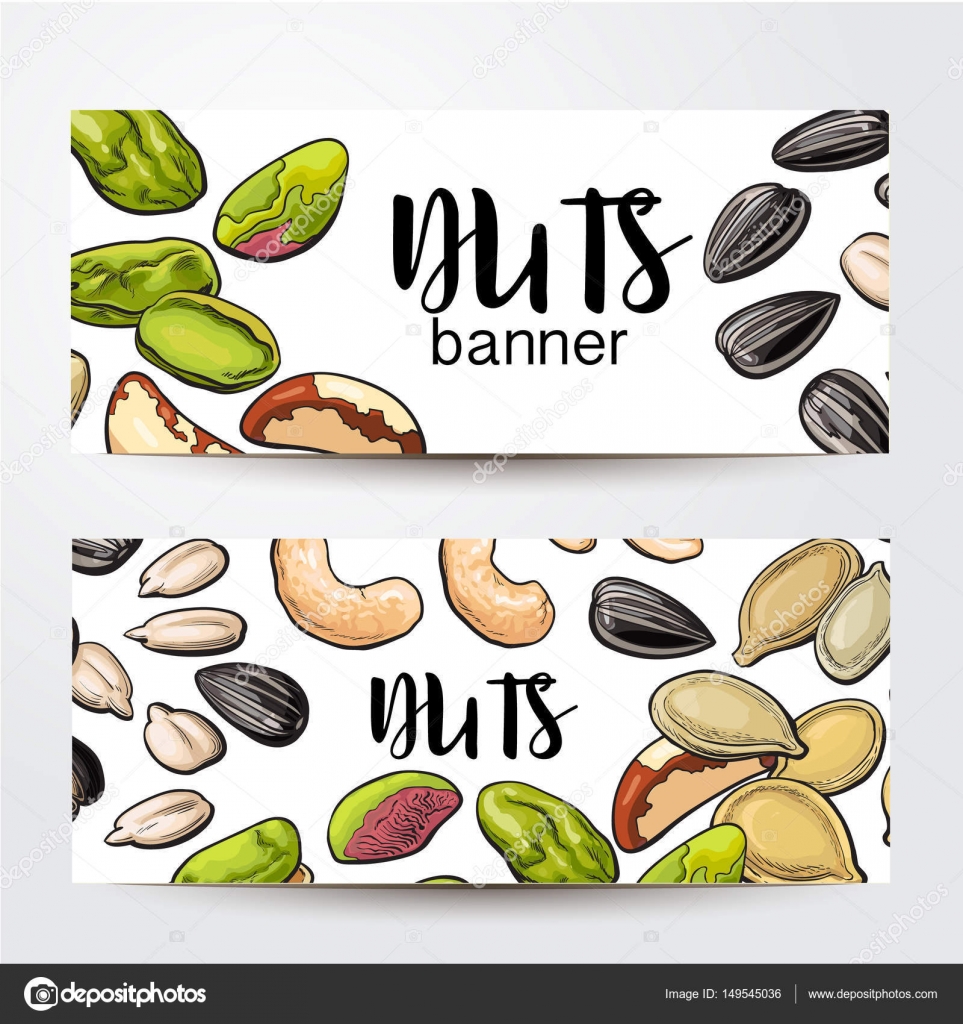 Banners with nuts, seeds and place for text, sketch illustration Stock ...