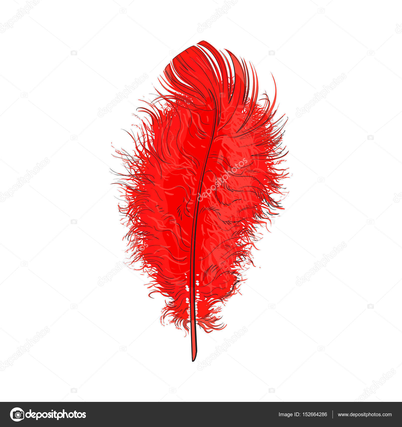 Hand drawn tender, fluffy red bird feather, sketch vector illustration ...