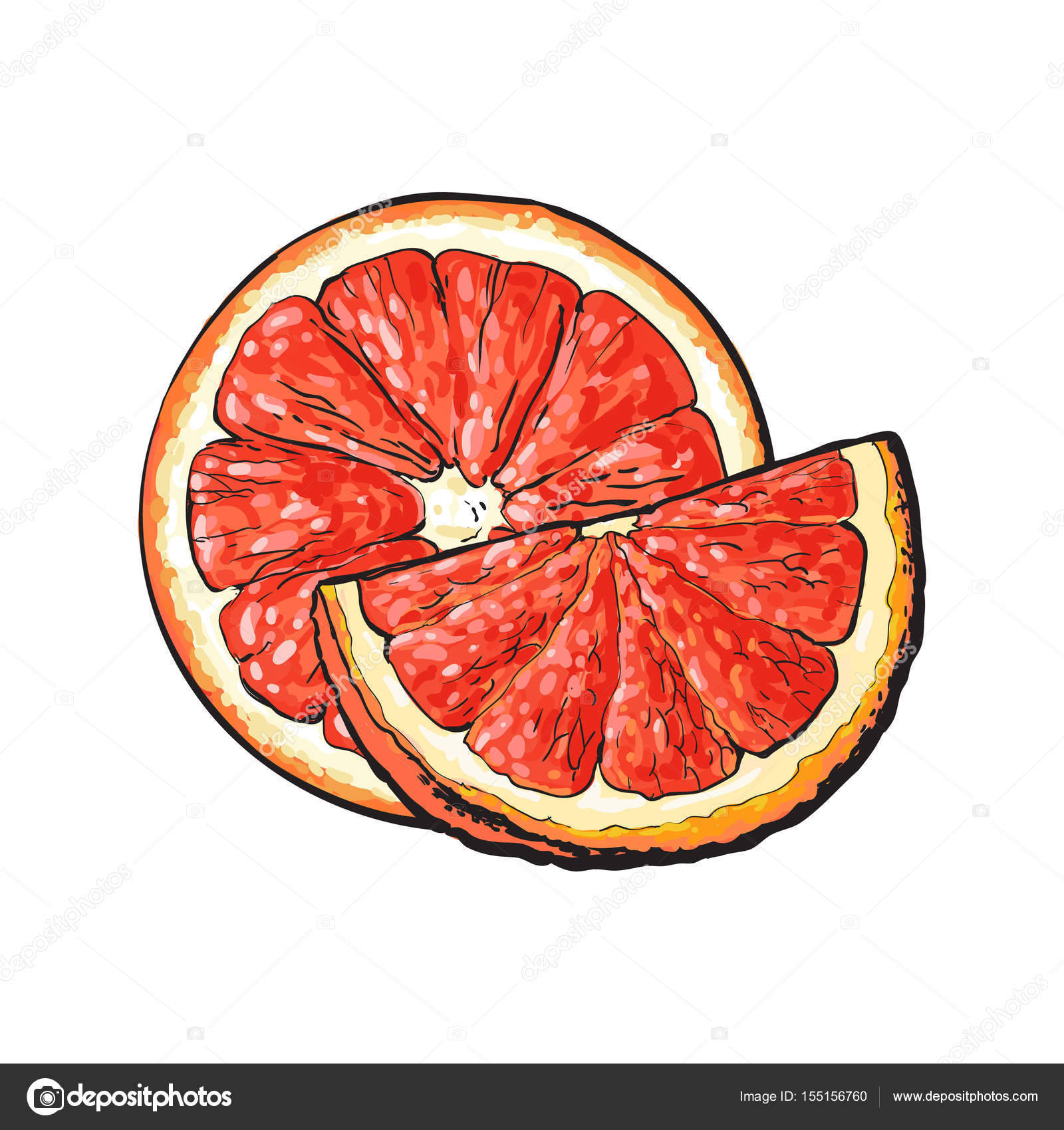 Half Orange Drawing