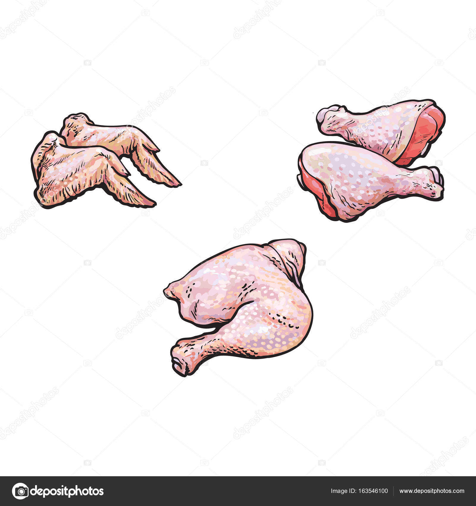 Vector pollo muslo piernas alas bosquejo aislado Vector de stock ...