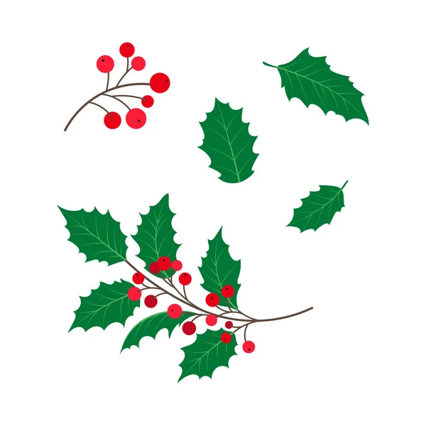 Vector flat cartoon holly tree leaves set. Stock Vector Image by ... Vector flat cartoon holly tree leaves set. Stock Vector Image by ...