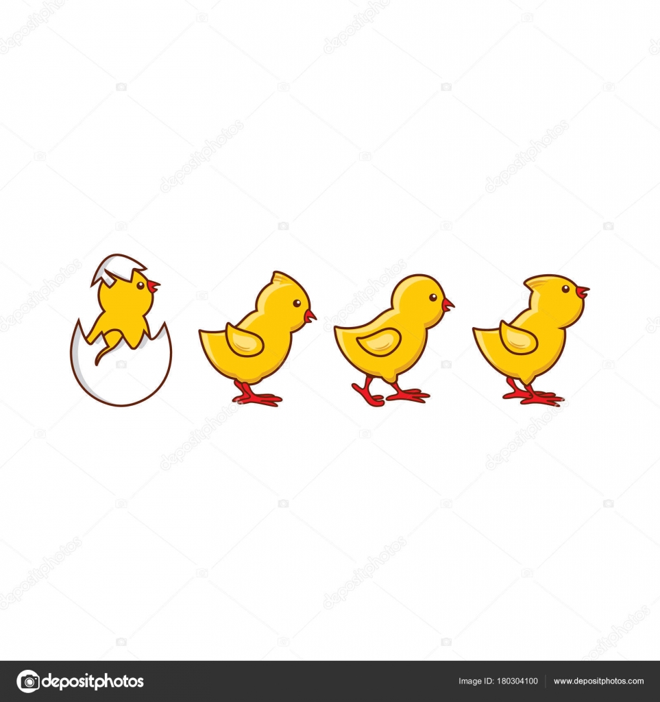 Chicken Hatching Clipart
