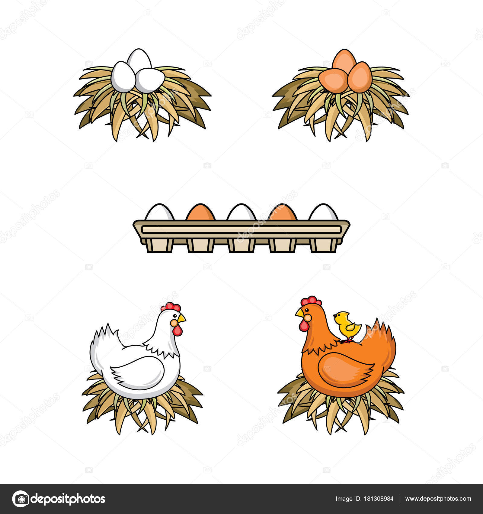Vector flat poutry, farm chicken set Stock Vector Image by ©Sabelskaya ...