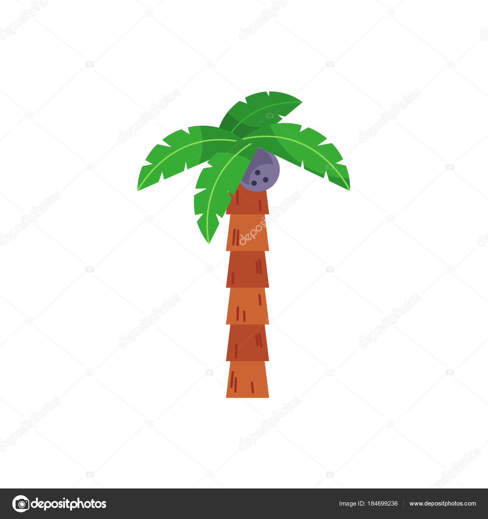 Solo, una palmera de coco con tallo recto Vector de stock #184699236 de ...