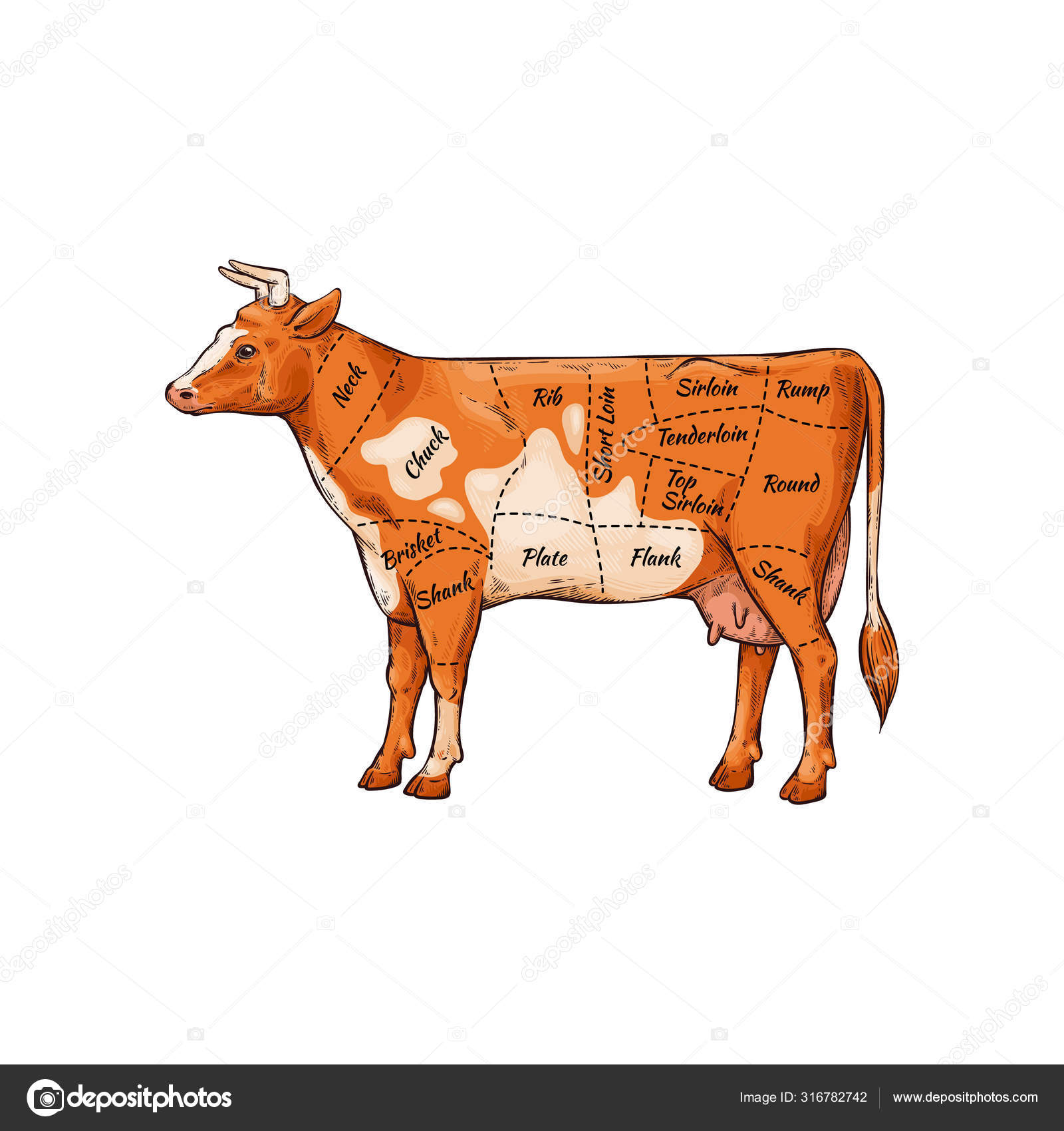 Dibujo De Vaca De Carne Carne De Vaca De Copo De Nieve Comida
