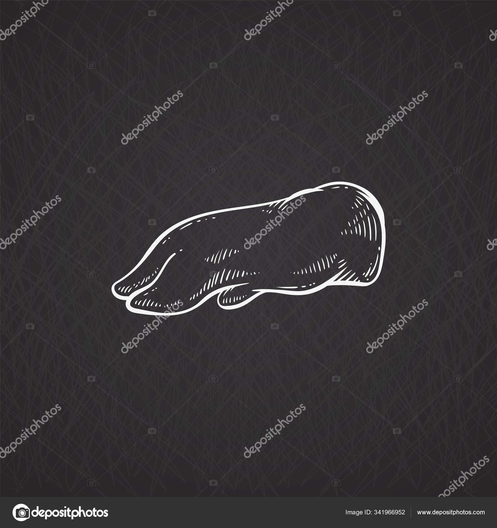 Hand drawn pork leg or hoof, pig meat. Stock Vector by ©Sabelskaya ...