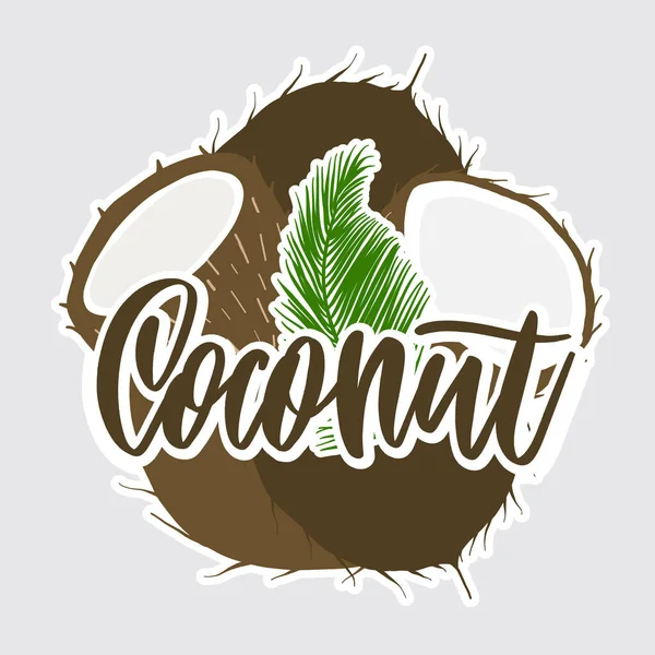 Kokosnoot tekening Vector Art Stock Images | Depositphotos