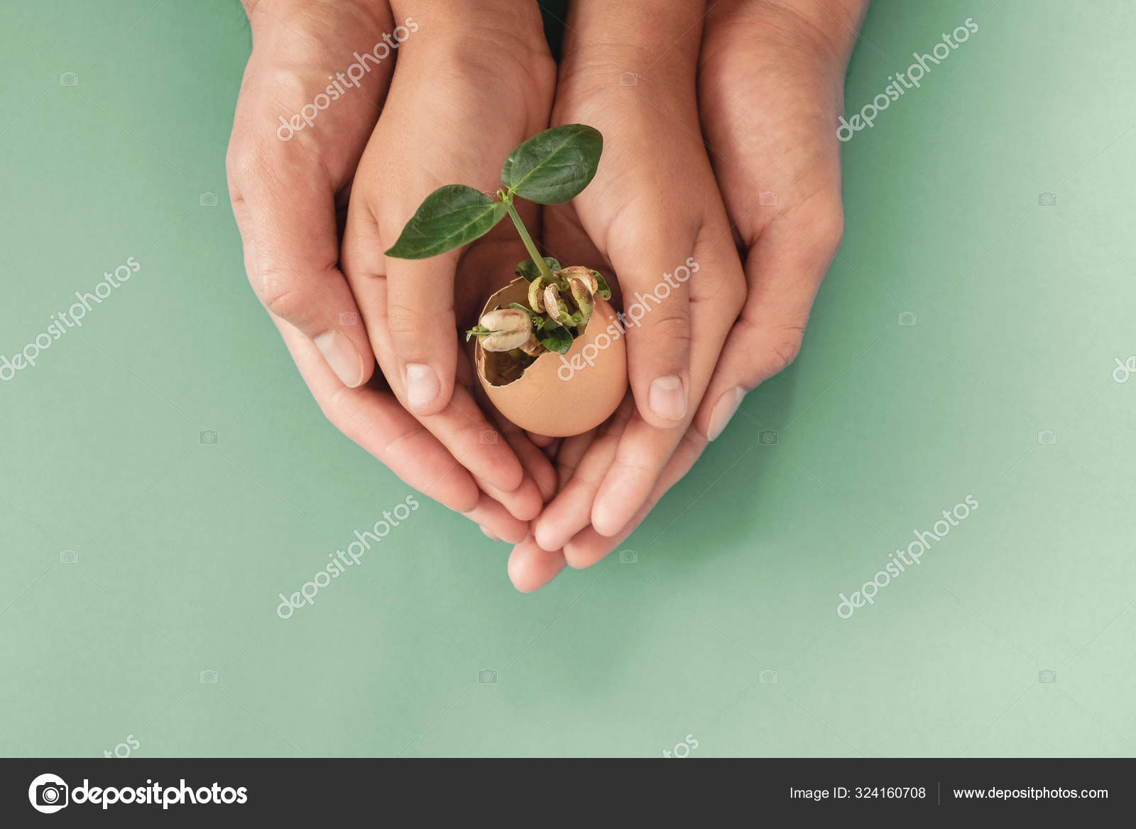 Corporate Social Responsibility Education