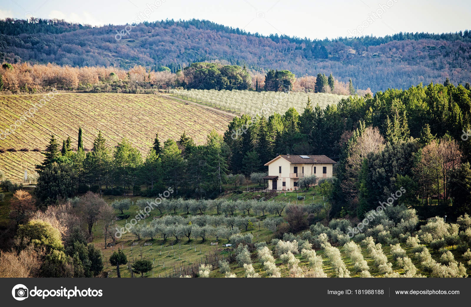 Tuscan landscape with cypress, trees and ancient buildings. – Stock ...