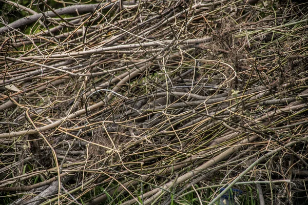 Ropes in nest Stock Photos, Royalty Free Ropes in nest Images ...