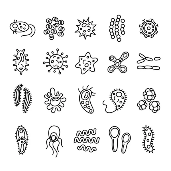 Fungi Bacteria Clipart