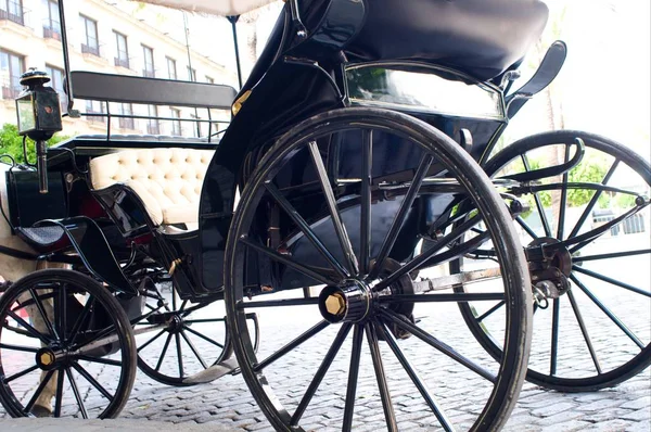 Beautiful horse drawn carriage Stock Photos, Royalty Free Beautiful ...