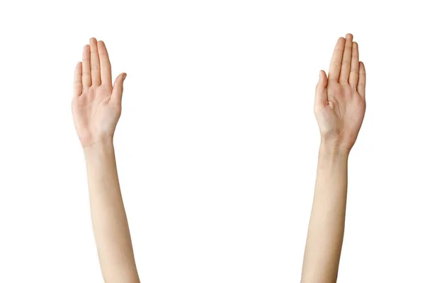 Female arm reaching out Stock Photos, Royalty Free Female arm reaching ...