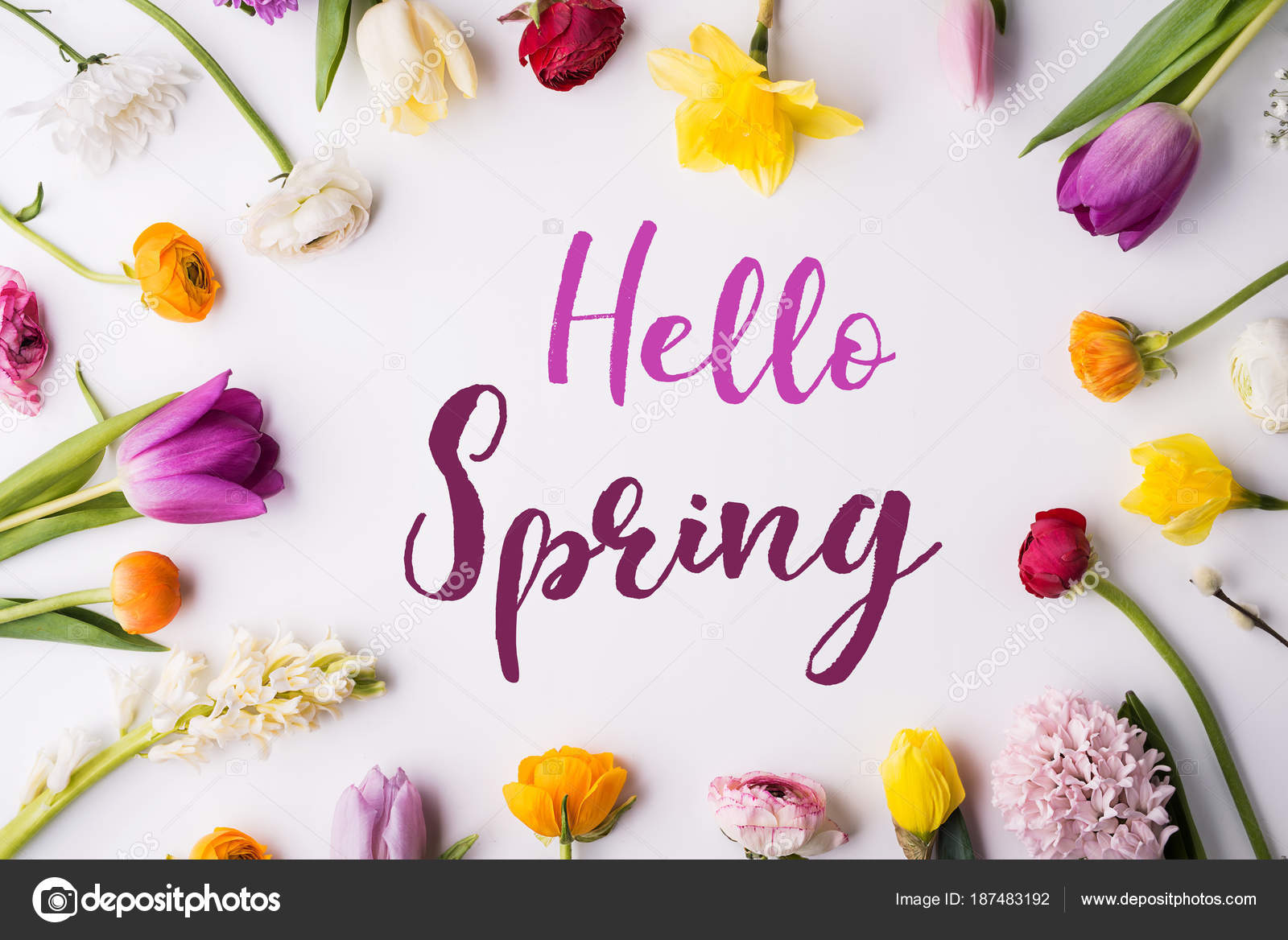 Easter and spring flat lay on a white wooden background. Stock Photo by ...