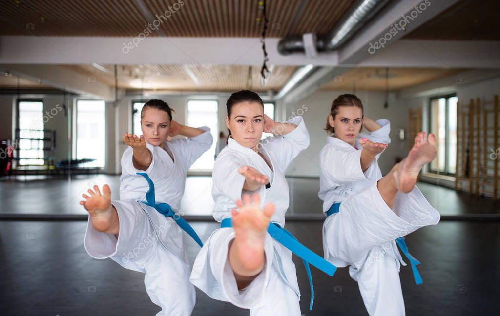 Grupo de mujeres jóvenes practicando karate en el interior del gimnasio ...
