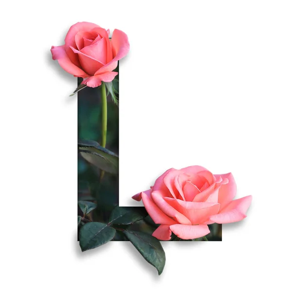 Letra l rosa fotos de stock, imágenes de Letra l rosa sin royalties ...