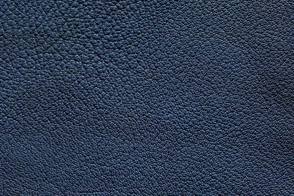 Blue leather book cover Stock Photos, Royalty Free Blue leather book ...