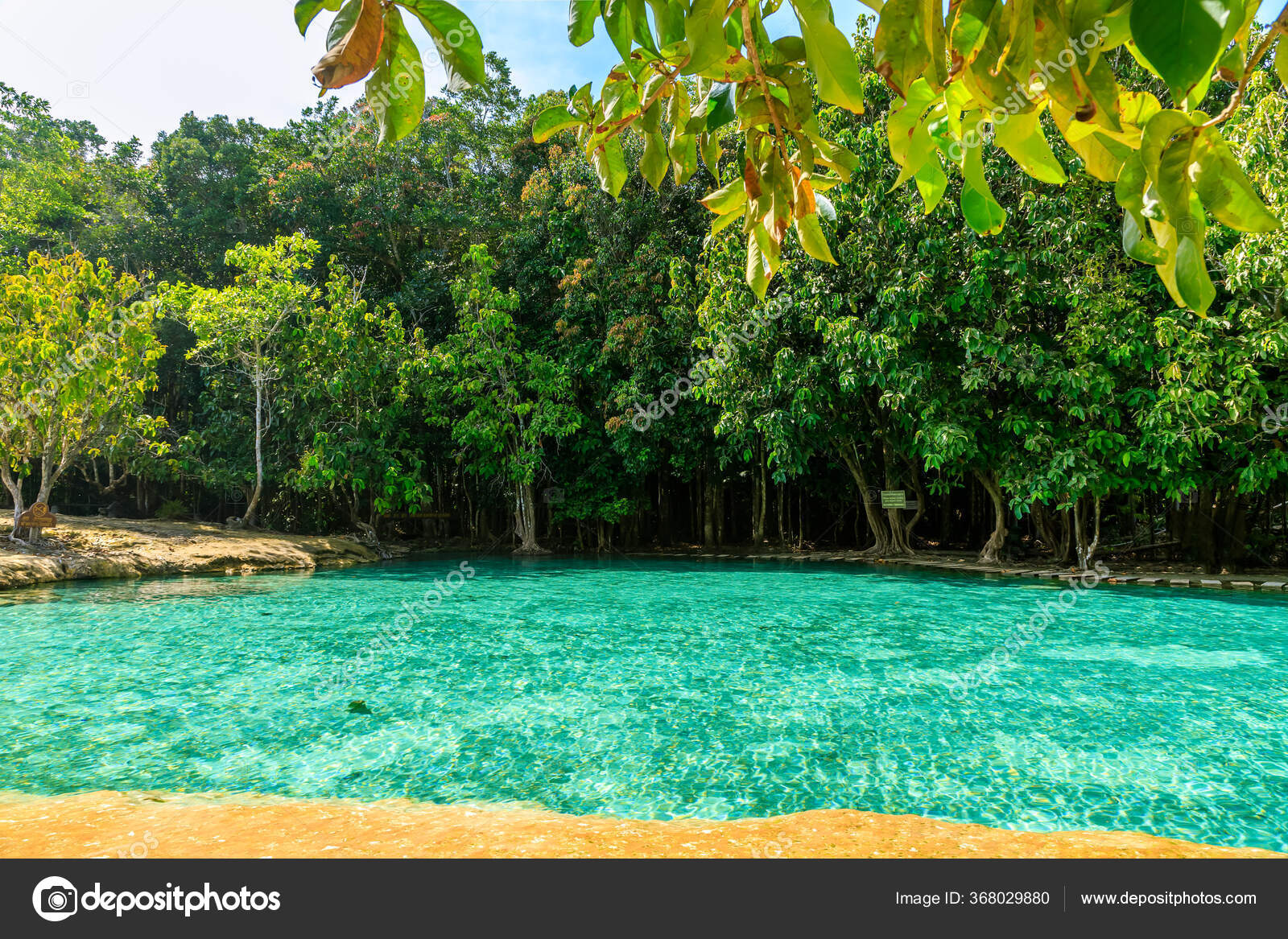 Beautiful Crystal Clear Emerald Pool Morakot Famous Natural Swimming ...