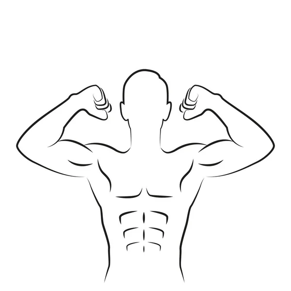 Bodybuilder outline Vector Art Stock Images | Depositphotos