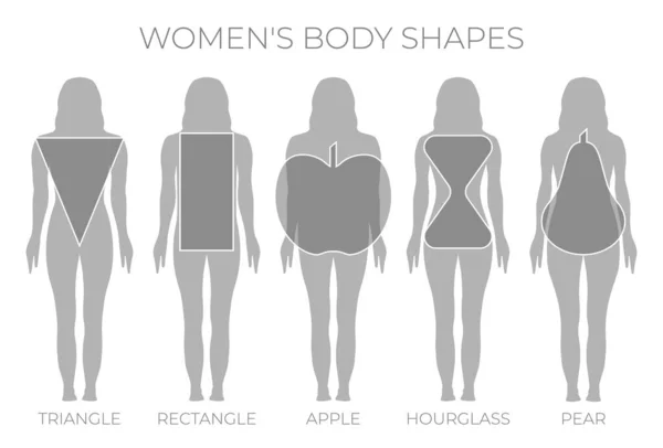 Female body shapes Vector Art Stock Images | Depositphotos