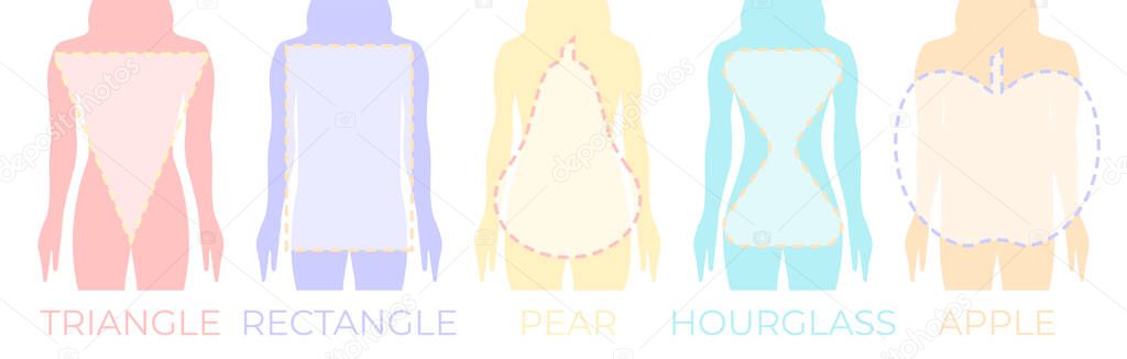 Female body shapes Vector Art Stock Images | Depositphotos