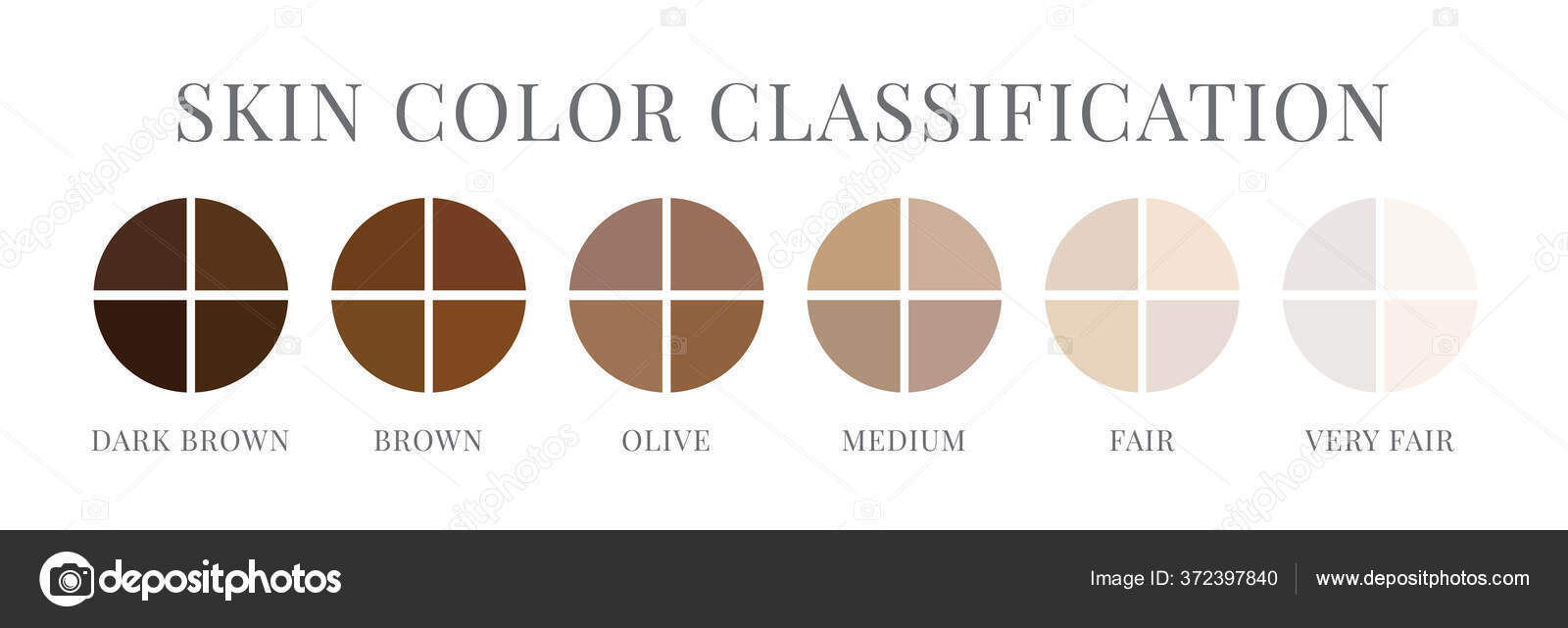 Skin Tone Color Classification Isolated Stock Vector Image by ...