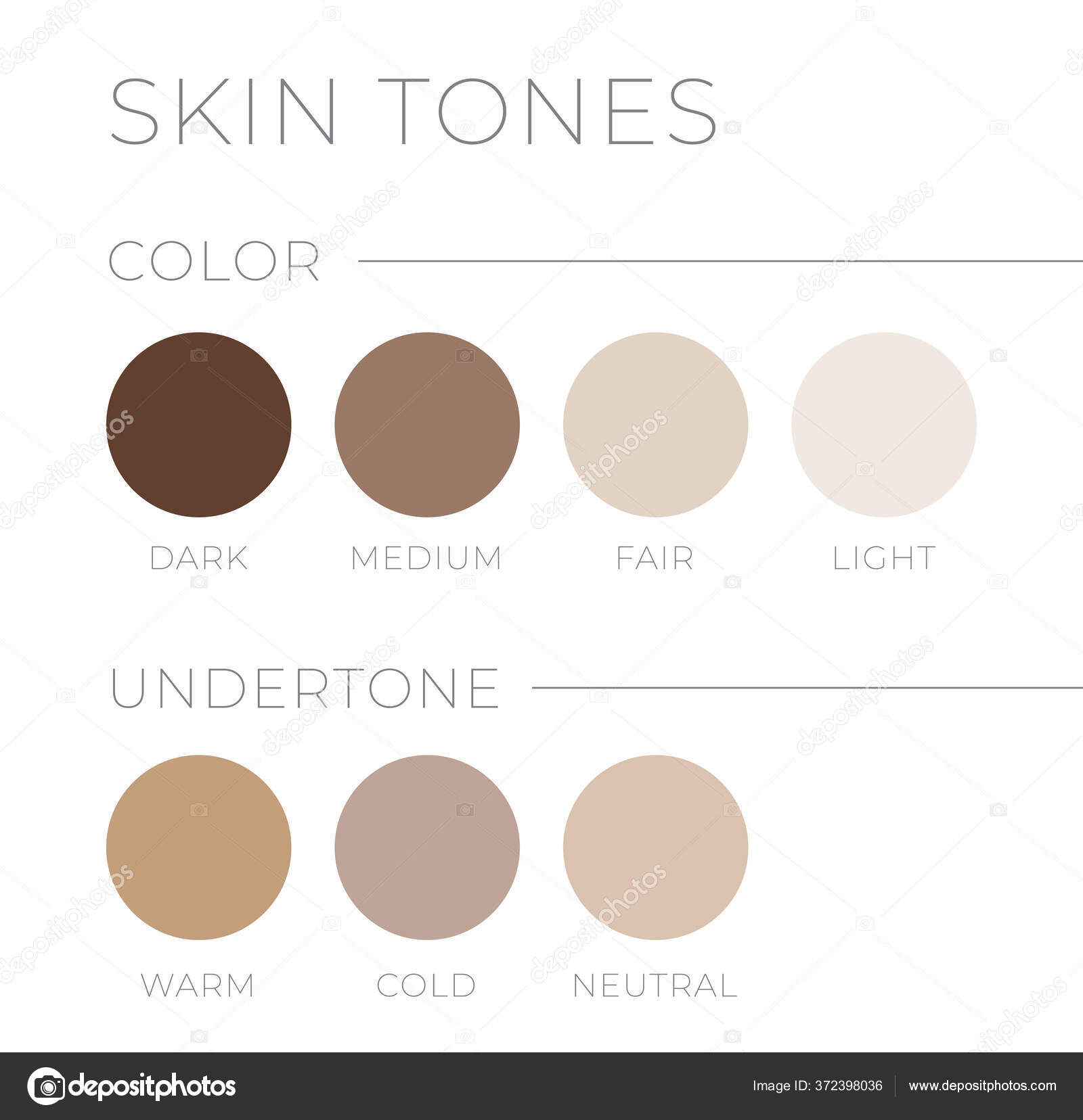 Skin Tones Undertone Warm Cold Neutral Skin Colors Stock Vector by ...