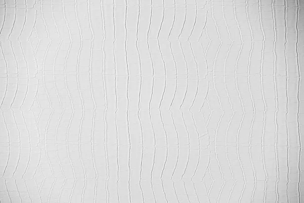White alligator texture Stock Photos, Royalty Free White alligator ...