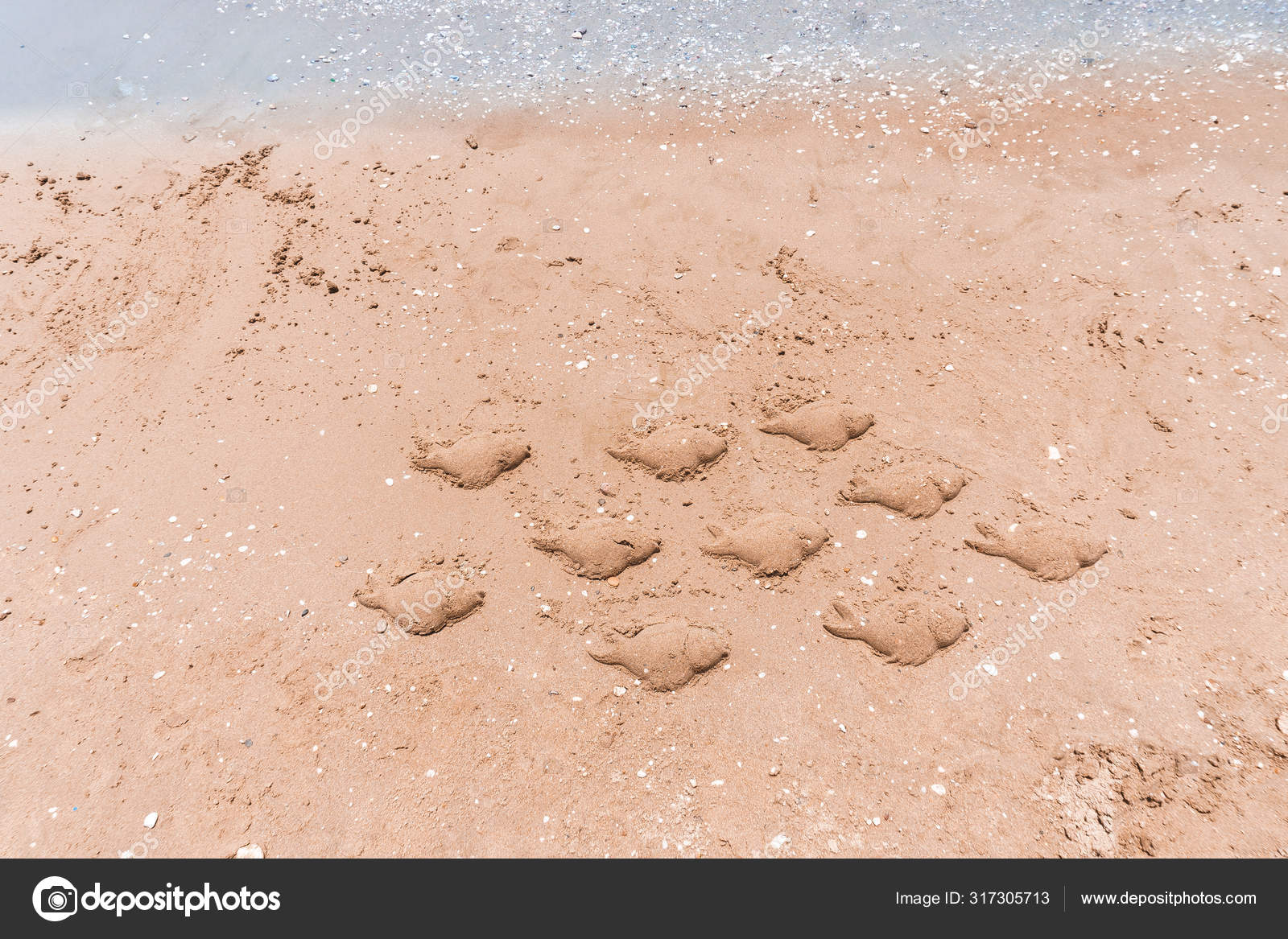Sand Fish Beach — Stock Photo © anastasia.goryainova #317305713