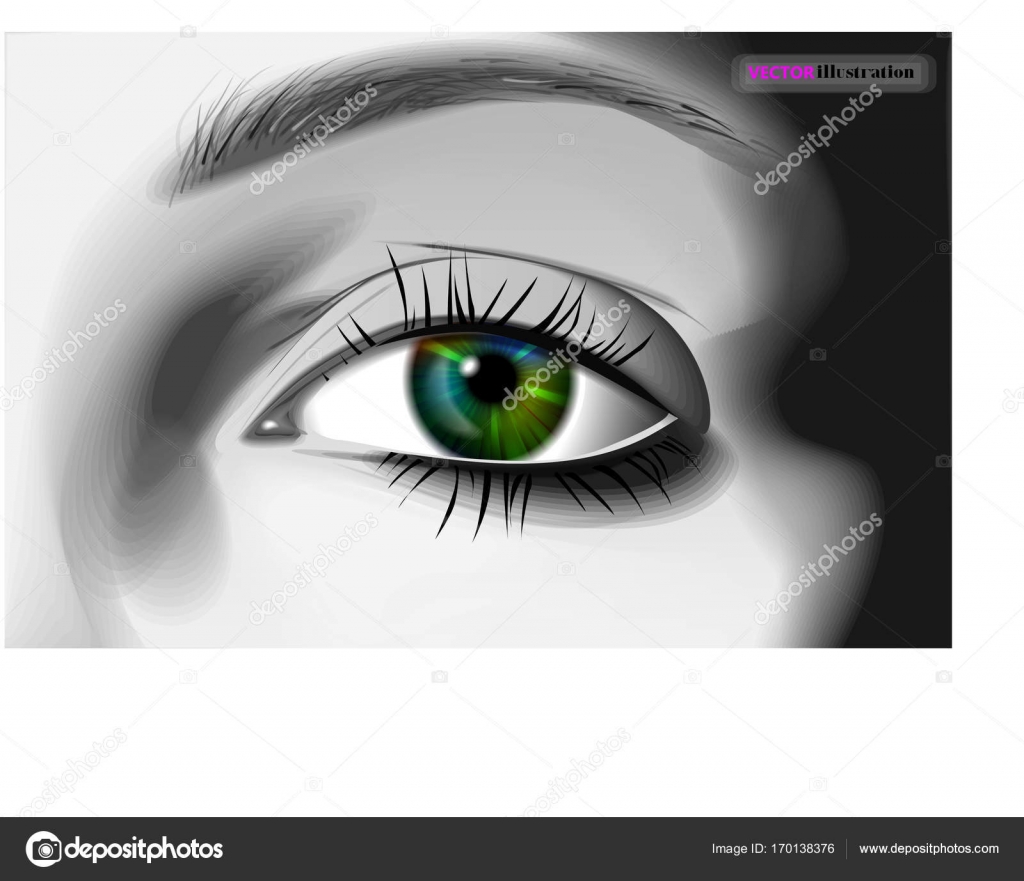 Abstract eye illustration Stock Vector by ©Kundra 170138376
