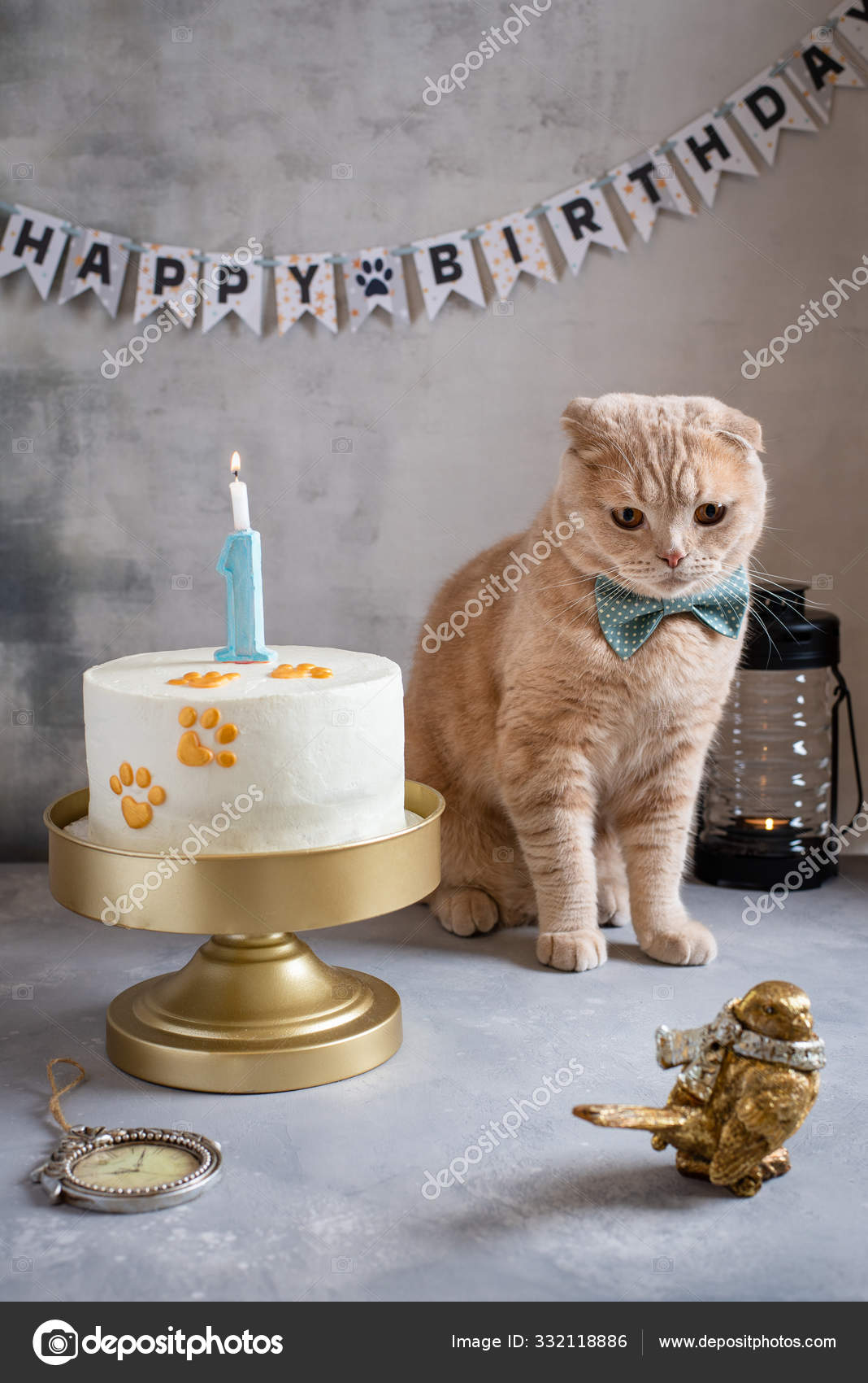Unhappy Cat Birthday