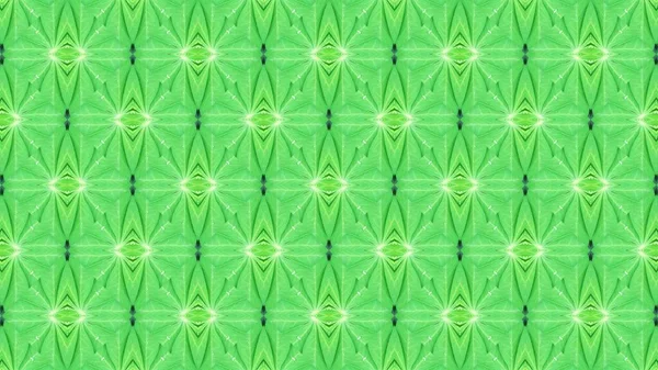 Árbol de la aljaba de fondo fotos de stock, imágenes de Árbol de la ...