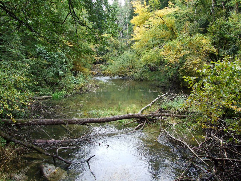 Gorge Rakov Skocjan Valley (Rakek o Notranjski regijski park Rakov ...