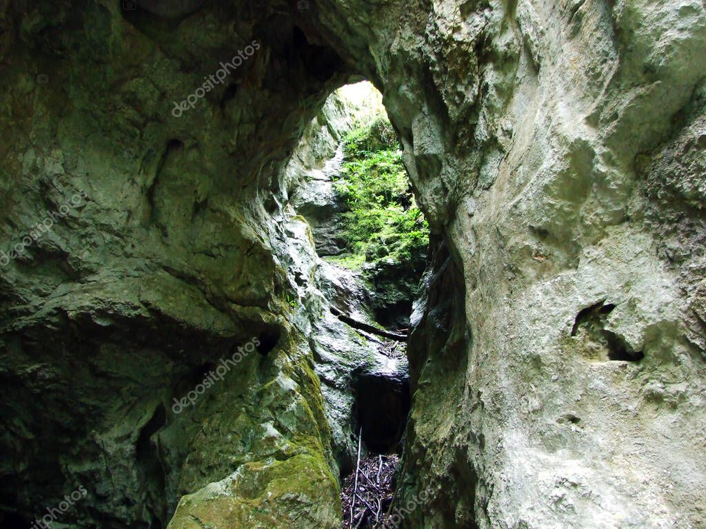 Gorge Rakov Skocjan Valley (Rakek o Notranjski regijski park Rakov ...