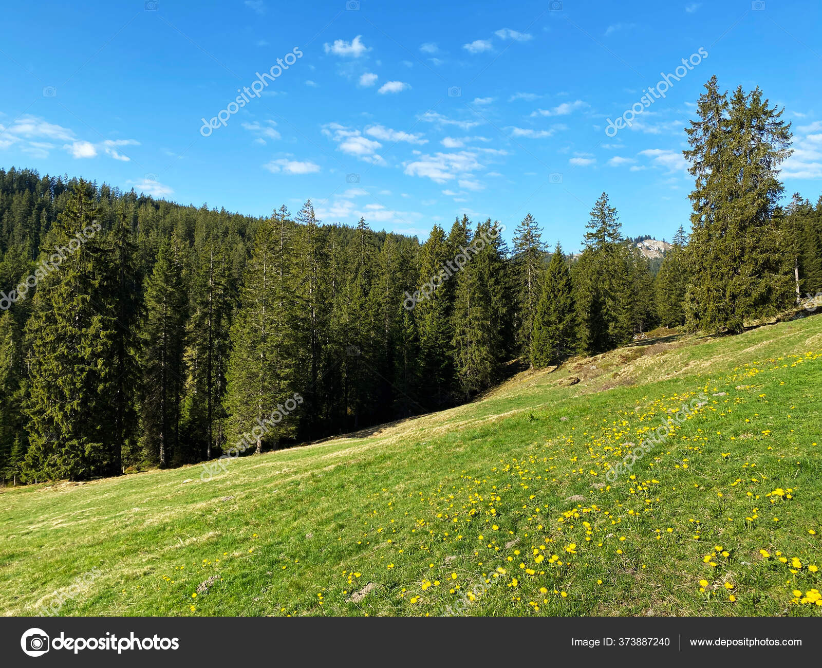 Alpine Pastures Grasslands Slopes Pilatus Massif Alpine Valleys Foot ...