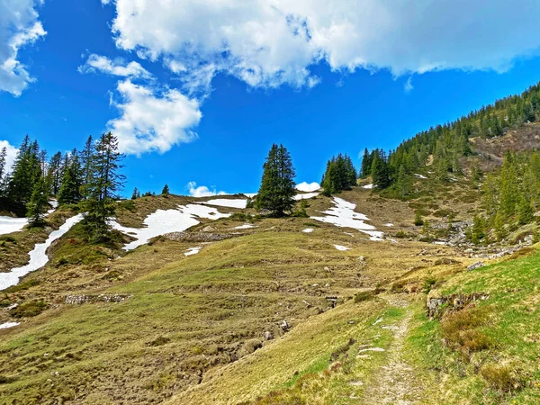 Alpine border Stock Photos, Royalty Free Alpine border Images ...