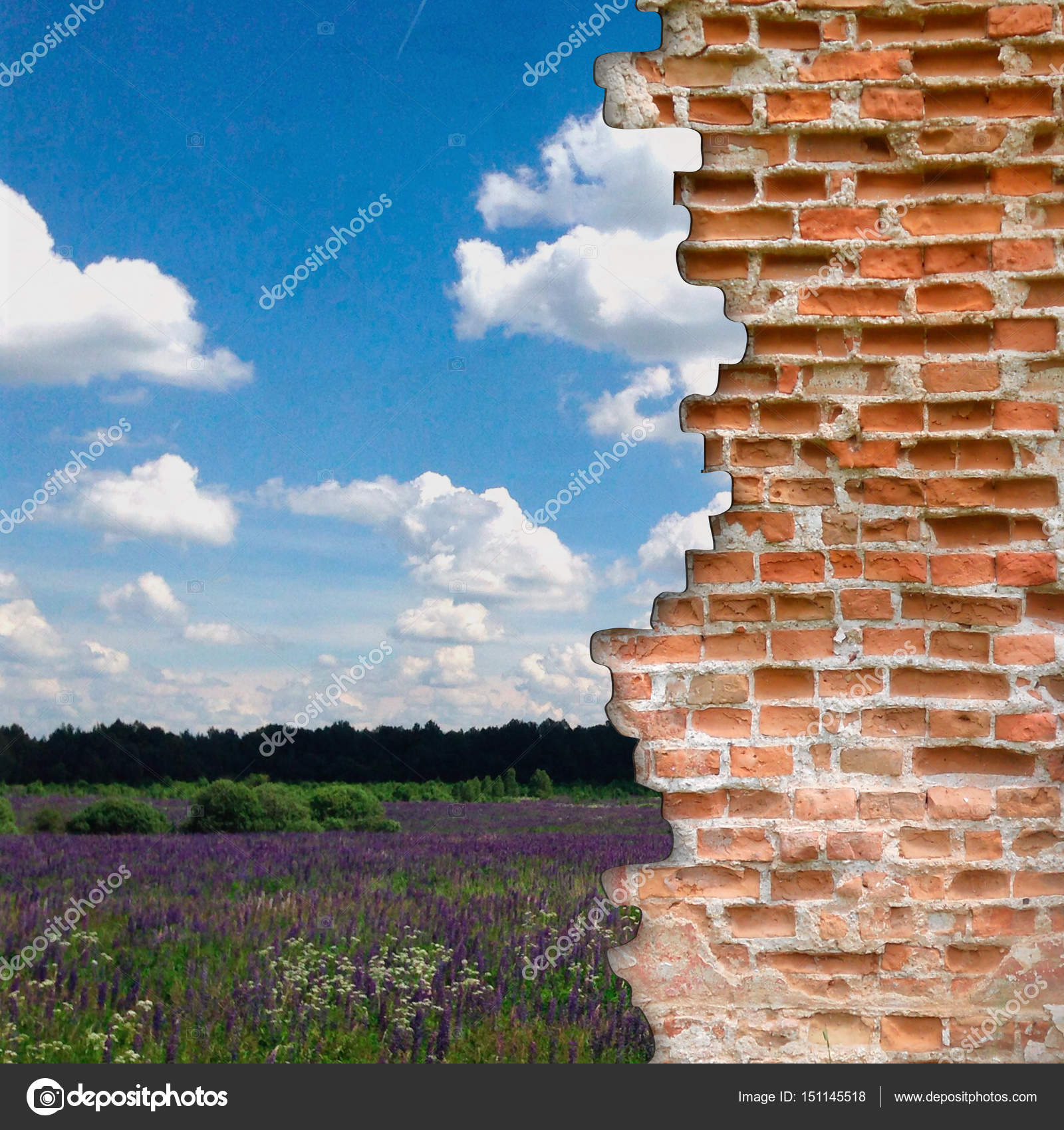 Splat Behind Brick Wall