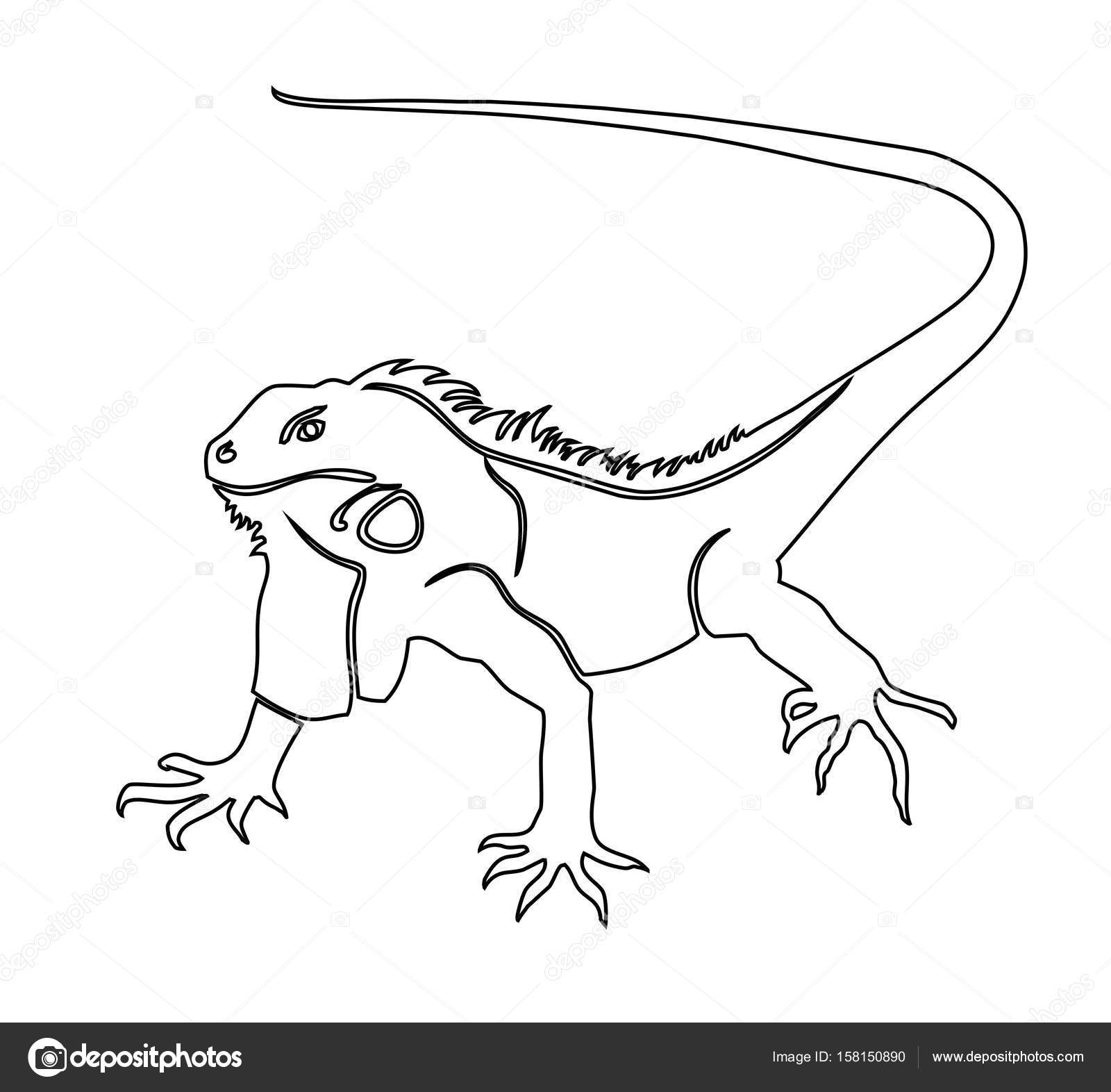Iguana. Coloring book vector illustration Stock Vector Image by ... Iguana. Coloring book vector illustration Stock Vector Image by ...
