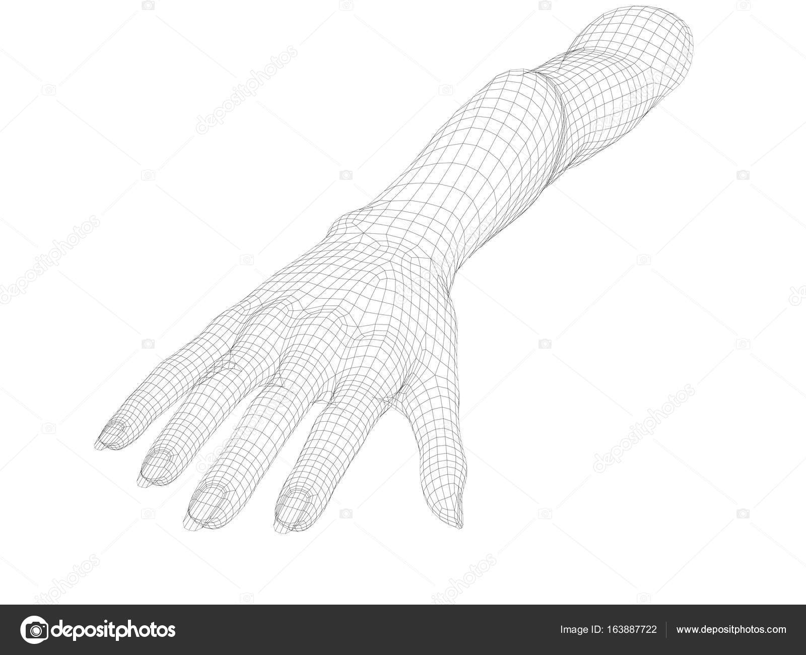 3d Hand Wireframe