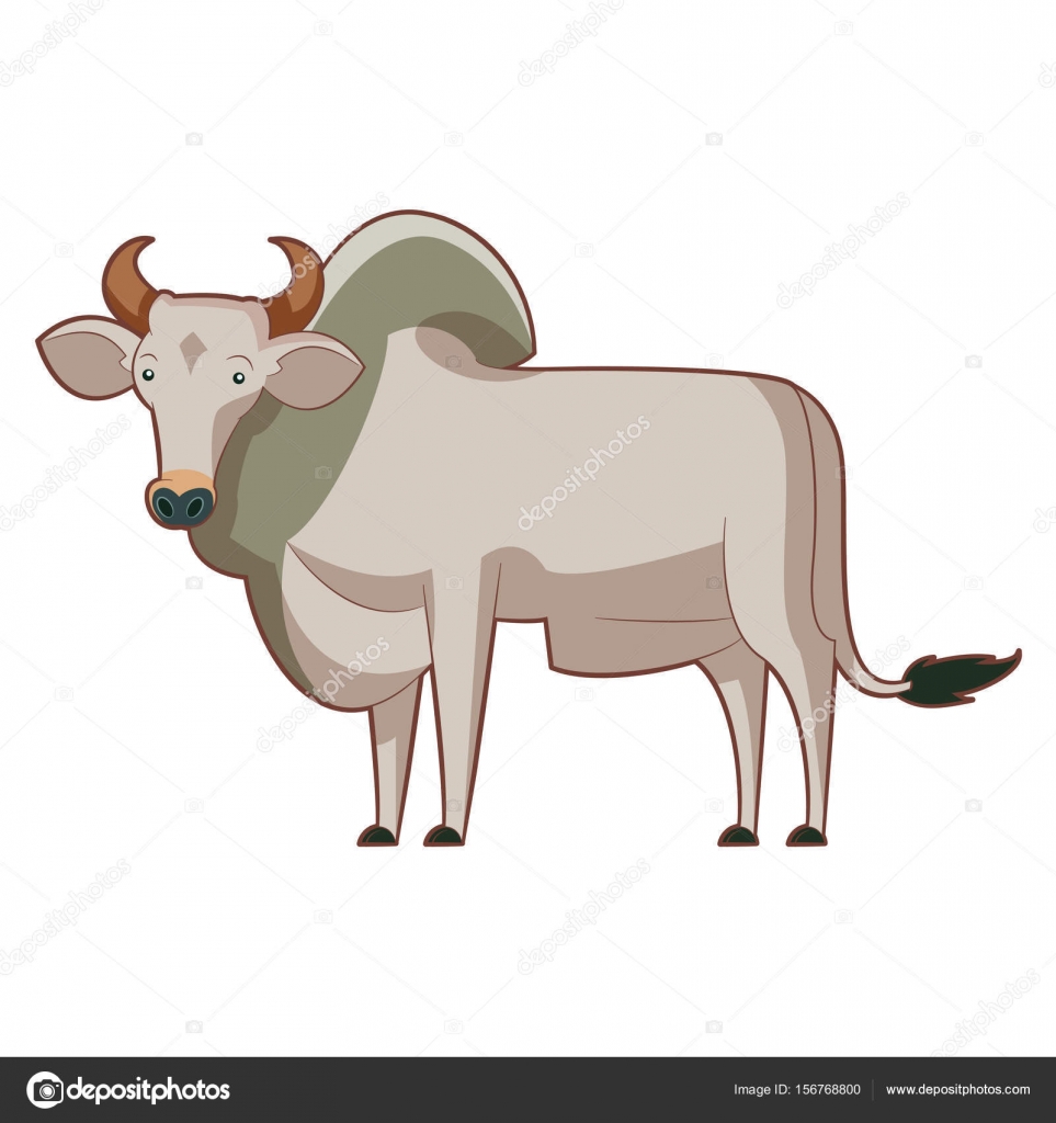 Cartoon standing zebu Stock Vector Image by ©Kolonorf #156768800