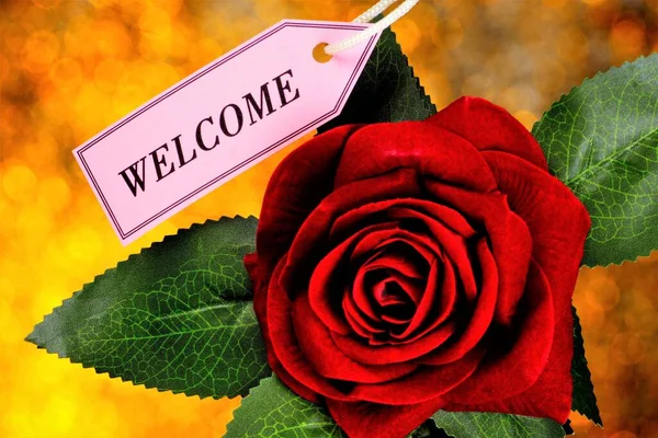 Welcome Images With Roses