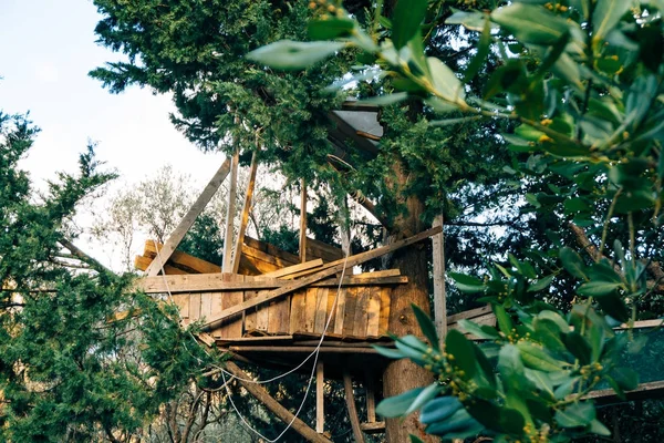 Broken tree house Stock Photos, Royalty Free Broken tree house Images ...