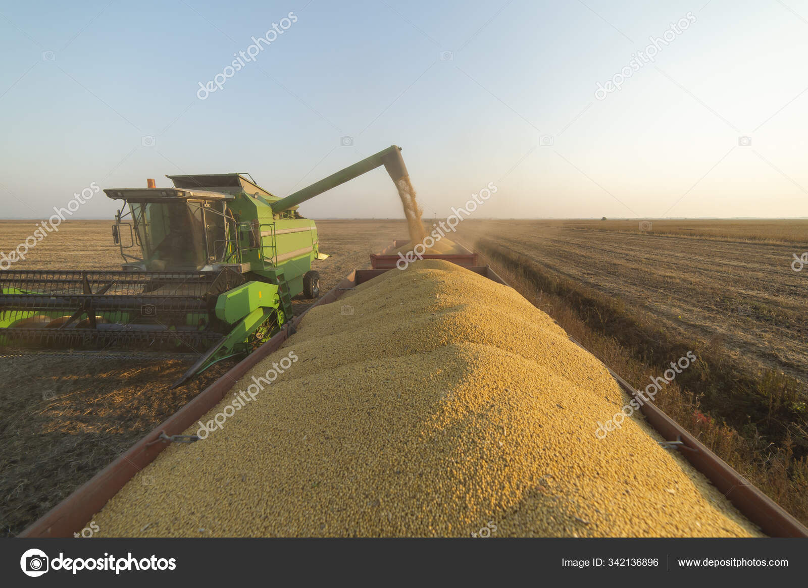 Verter grano de soja: fotografía de stock © vlalukinv@gmail.com ...