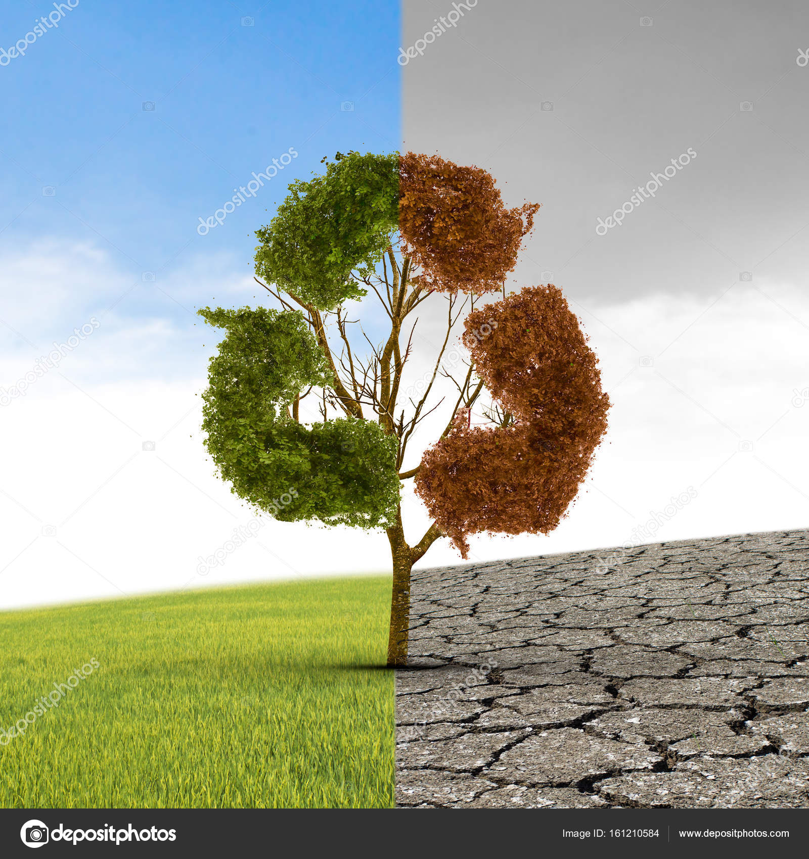 Half Dead Half Alive Drawing