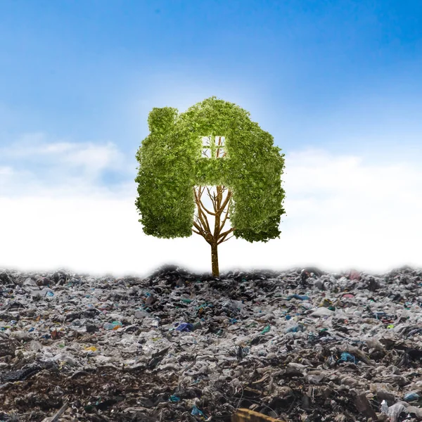 Concept recycle big alone tree in the garbage . Tree of life. - Stock ...