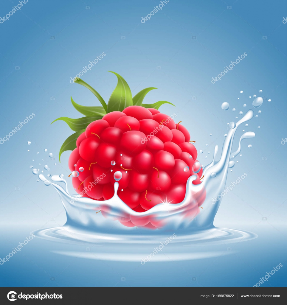 Raspberry in water splash Stock Vector by ©Pazhyna 165875822