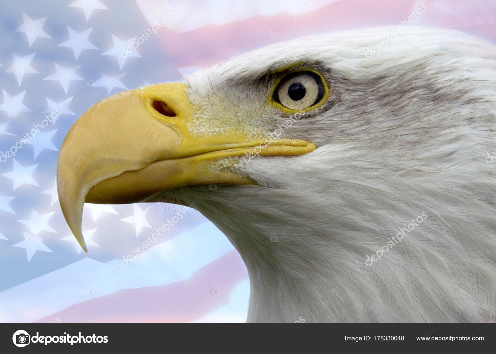 Patriotic Symbol - United States of America — Stock Photo © Steve_Allen ...