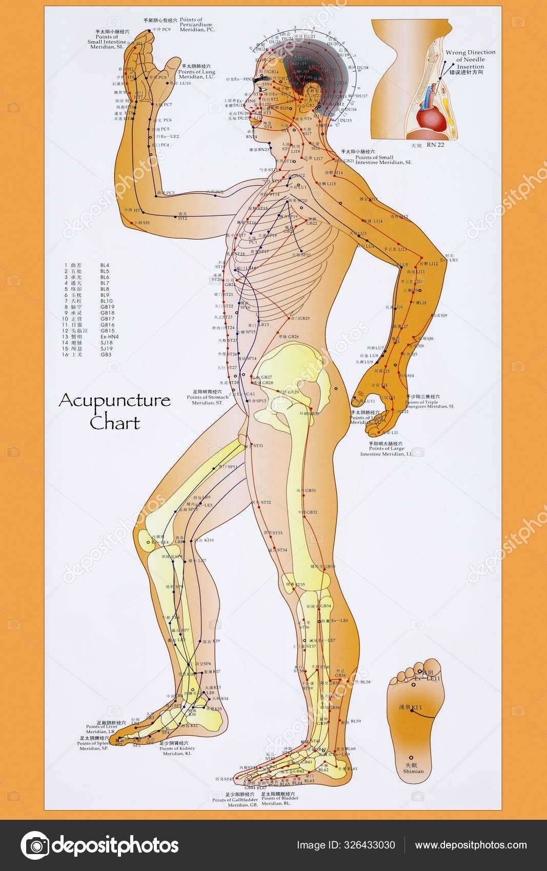 Online Acupuncture Meridian Charts