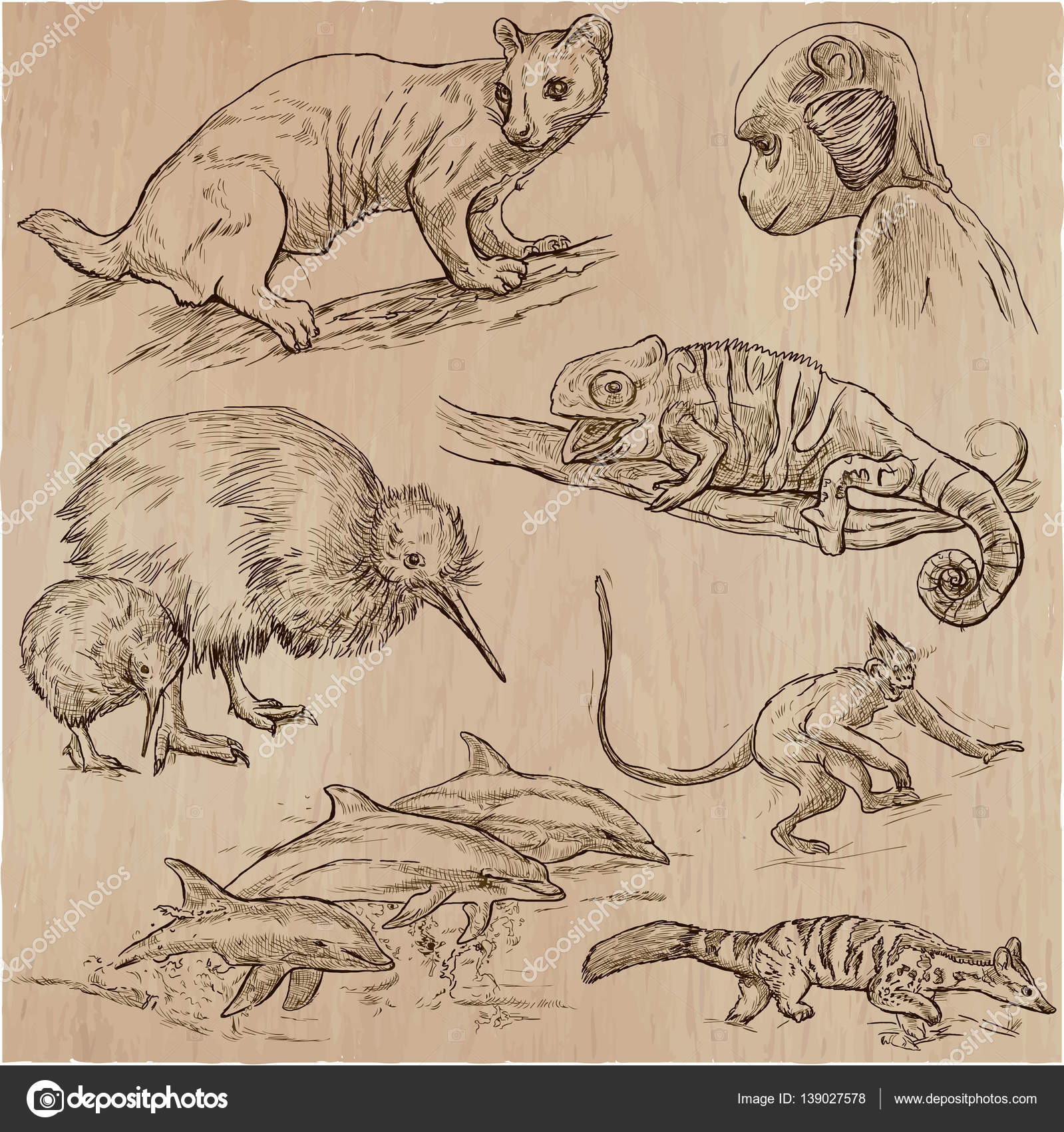 Animals - an hand drawn vector pack, collection. Stock Vector Image by ...