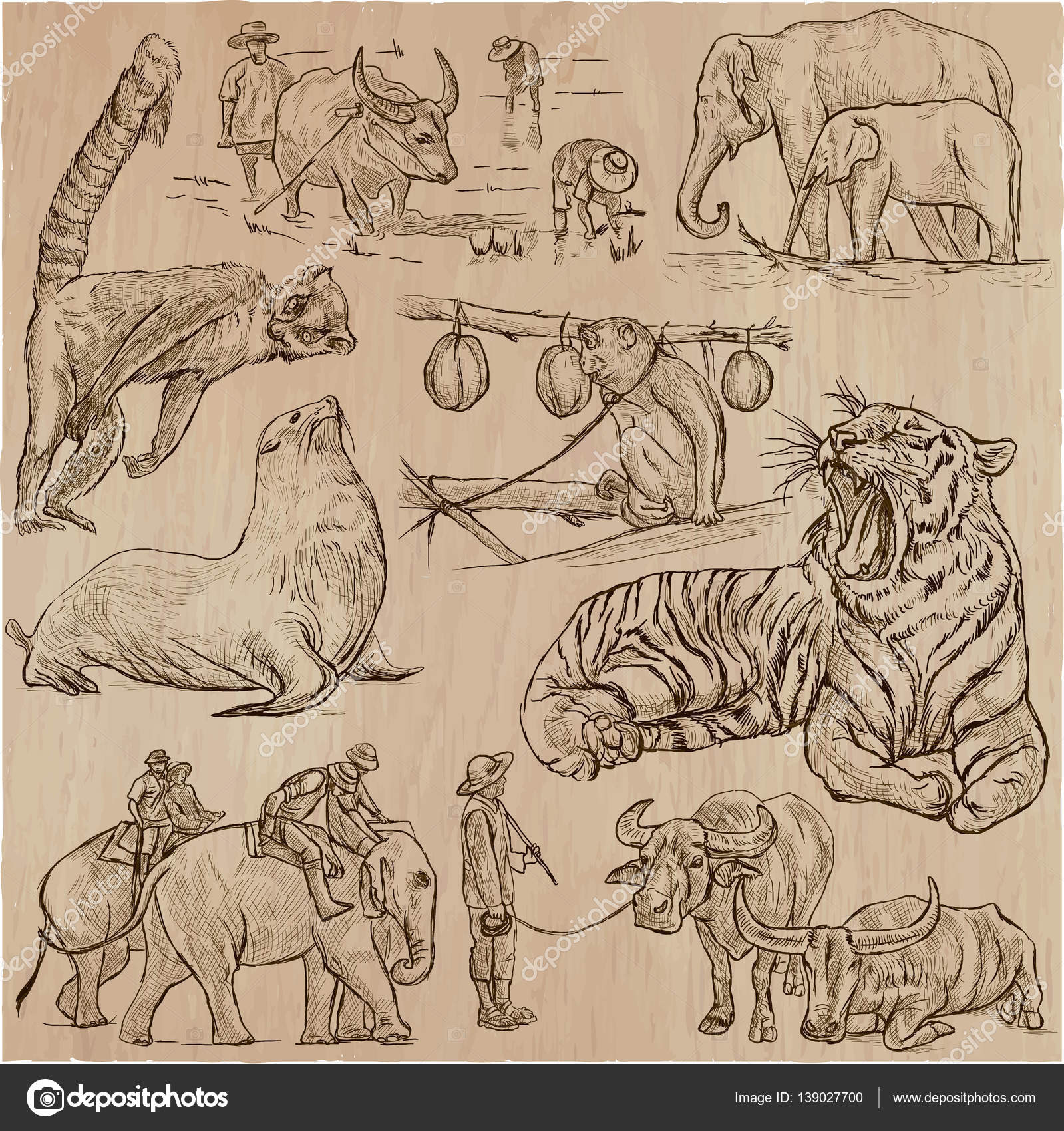 Animals - an hand drawn vector pack, collection. Stock Vector Image by ...